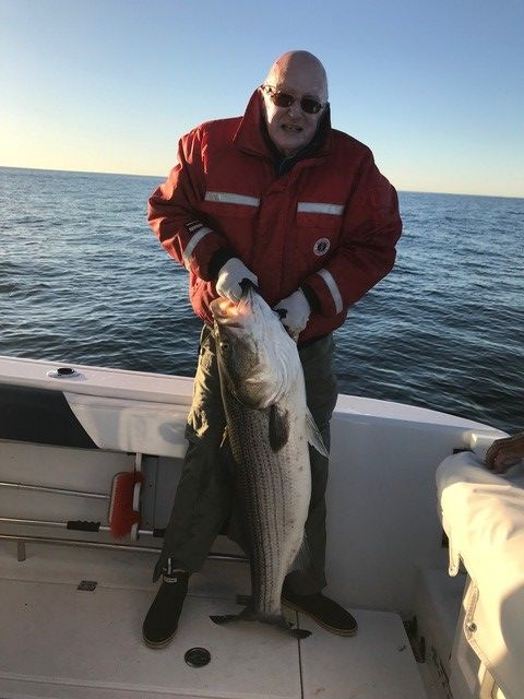 Index of /uploads/gallery